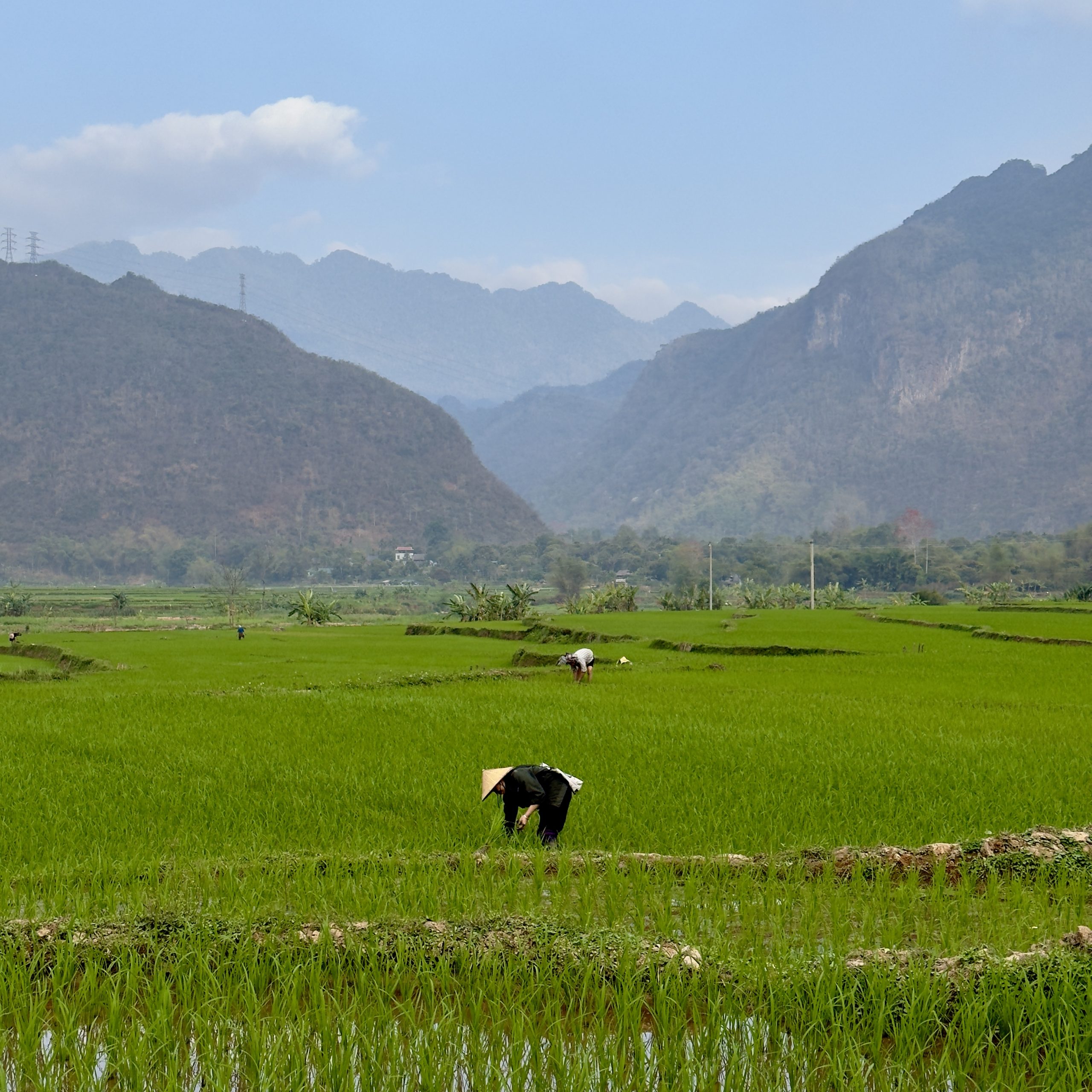 Ivan Tee photographer - ivantee • Il mio viaggio in Vietnam